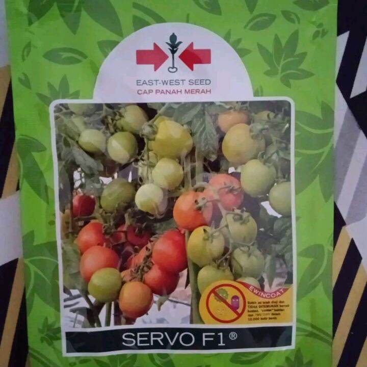 Benih bibit Tomat Servo F1 1750 butir kemasan original pabrik | Lazada ...