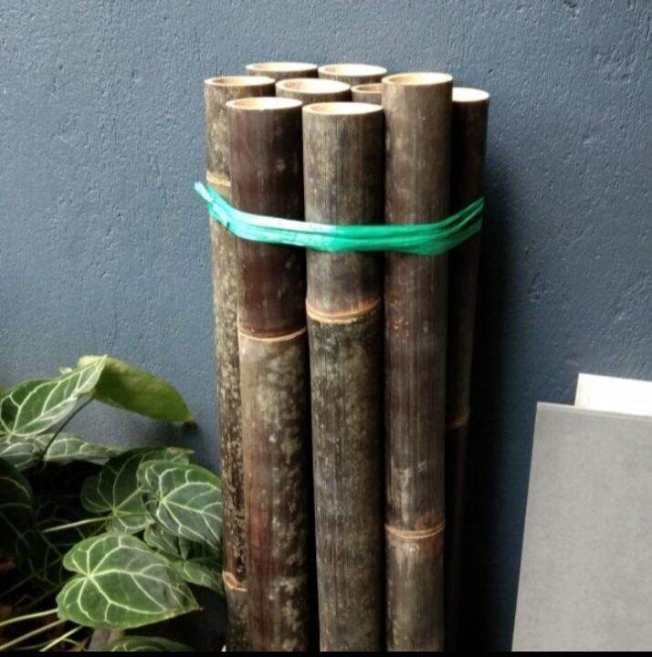 bambu hitam /bambu wulung glondongan 100 cm | Lazada Indonesia