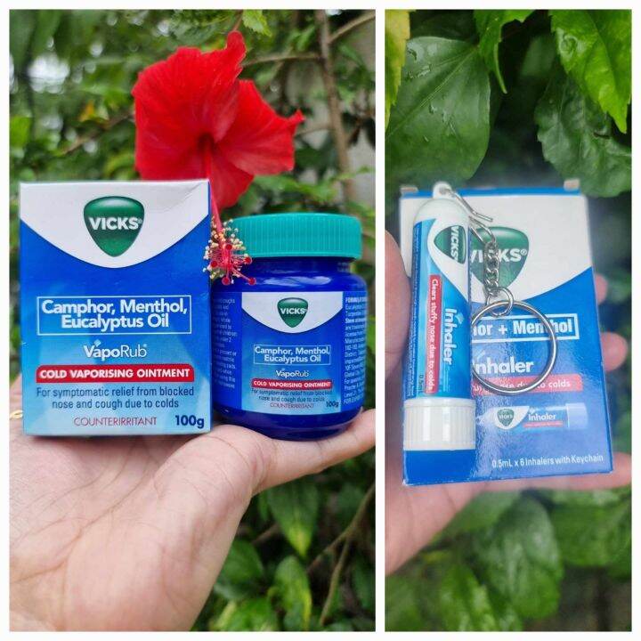 Vicks VaporRub 100g / Vicks Inhaler | Lazada PH