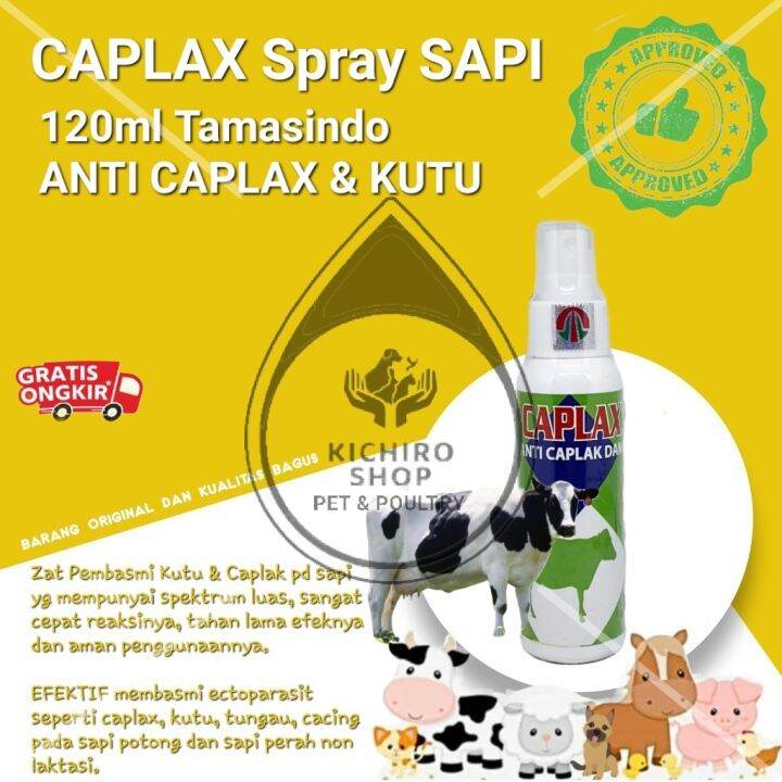 CAPLAX SAPI 120ml Tamasindo Obat Spray Anti Caplak, Anti Kutu pada Sapi ...
