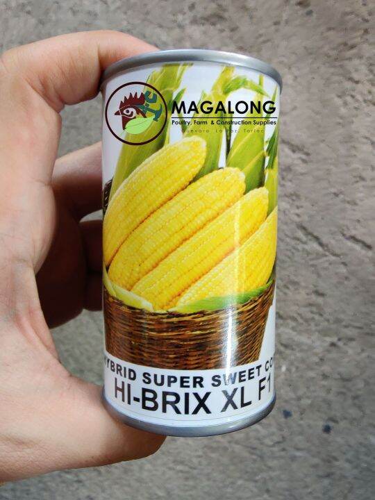 CONDOR SEEDS - SWEET CORN SEEDS - HI-BRIX XL F1 HYBRID 260 Seeds - JR ...