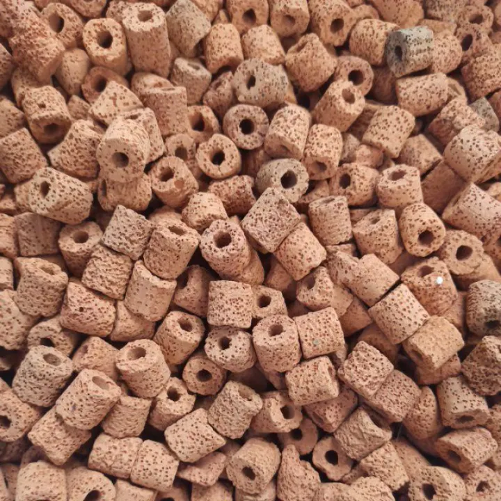 Lava Porous Ring for Aquarium Filter Media | Lazada PH