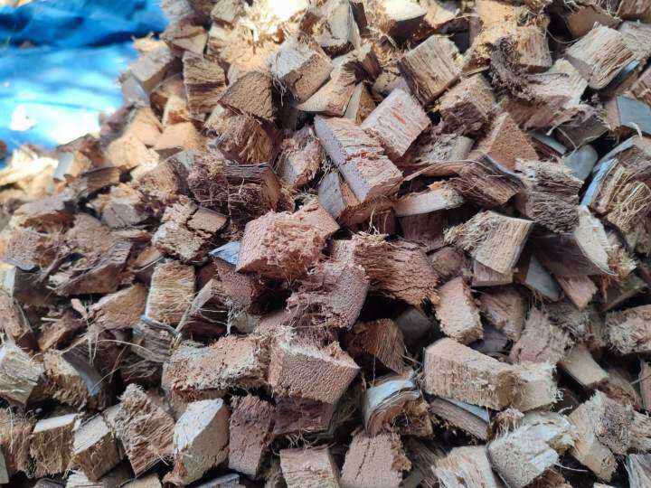 Lovely Garden's Coco Cubes 250 Grams is Organic and Natural Mulch Made ...