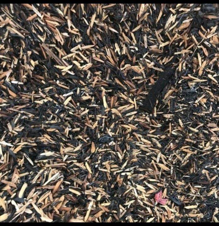 SEKAM PADI BAKAR KASAR 1KG | Lazada