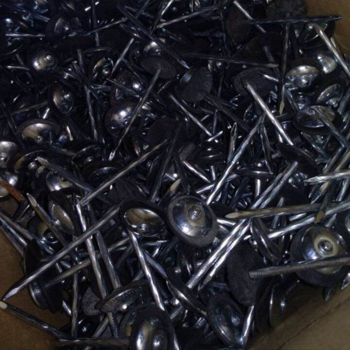 Paku Asbes 7cm Paku Seng (Harga1/4kg) | Lazada Indonesia