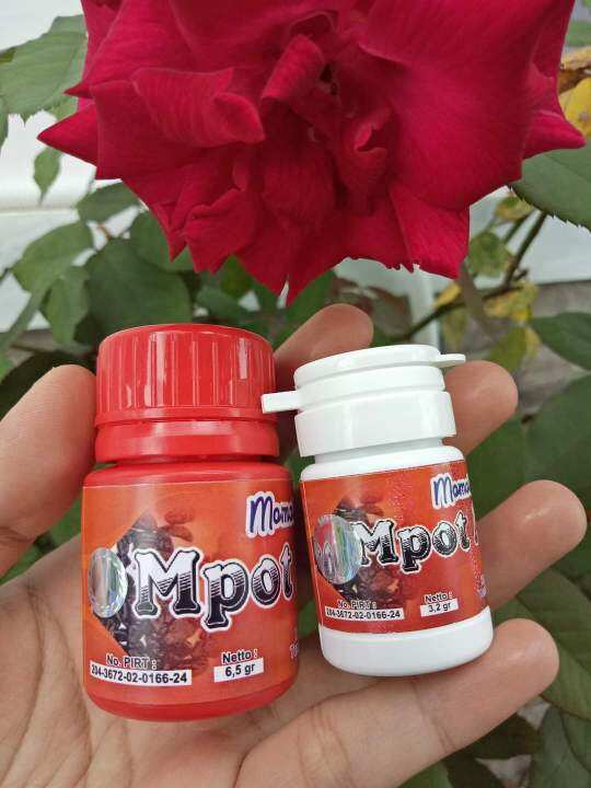 Momo Mpot ayam momoidea | Lazada Indonesia