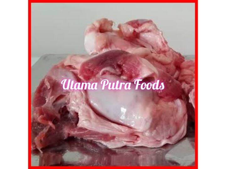 Daging Tulang Dengkul Sapi/Beef Patella 1kg | Lazada Indonesia