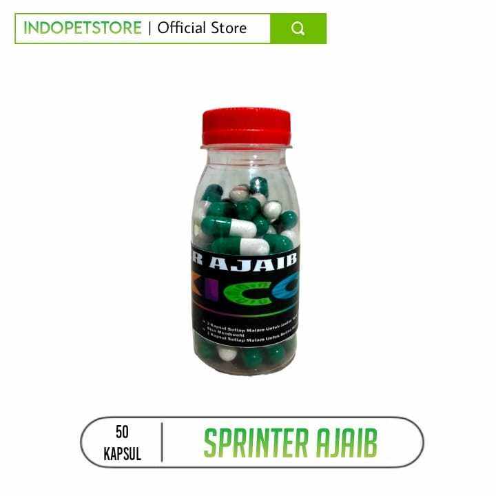 Sprinter ajaib mexico jamu merpati sprint 50 kapsul | Lazada Indonesia