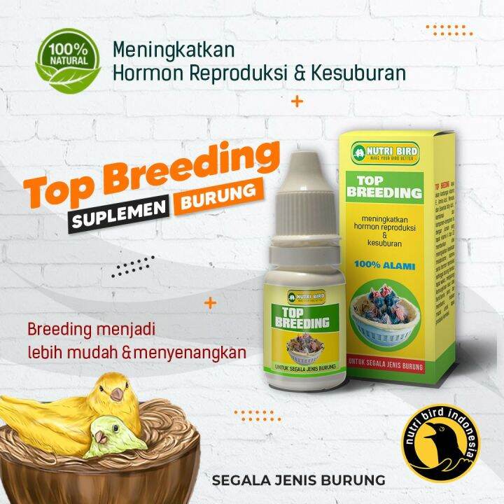 TOP BREEDING FUMAYIN VITAMIN MENINGKATKAN BIRAHI SEMUA JENIS BURUNG ...