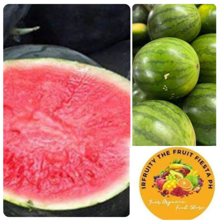 Seedless Watermelon Super Fresh & Sweet for only ₱790 approx.3kls.to ...
