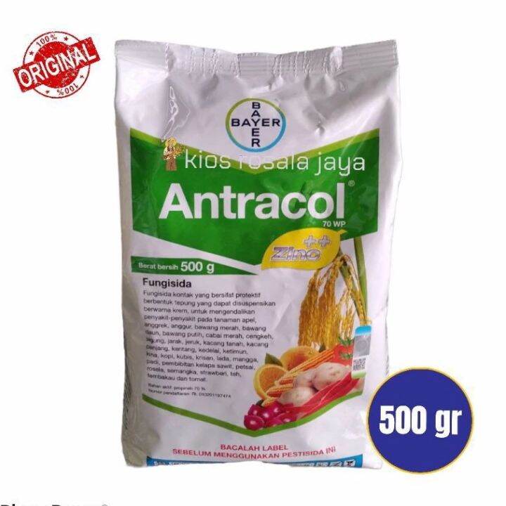 Fungisida Antracol 70 WP 500 Gram | Lazada Indonesia