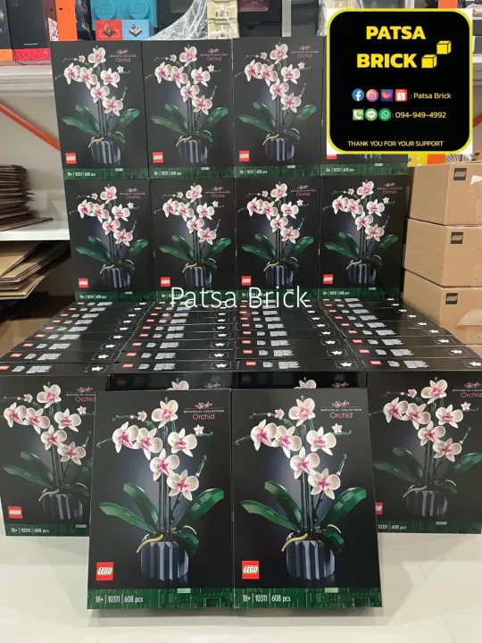 Lego 10311 Orchid Botanical Collection | Lazada.co.th