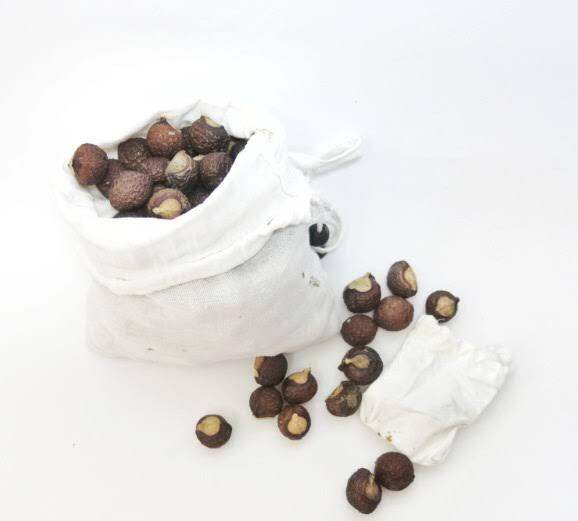 Buah lerak dengan biji (Sapindus Rarak) 1kg Kwalitas ekspor | Lazada ...