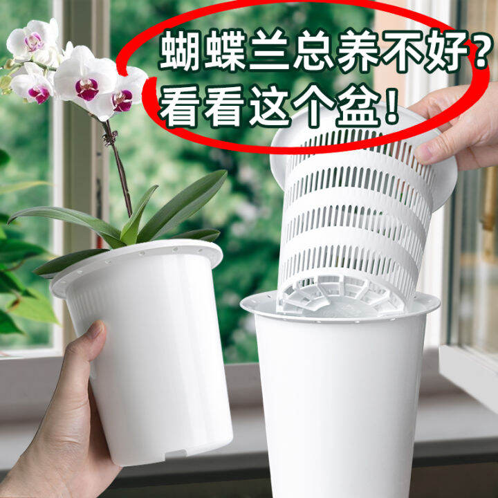 Phalaenopsis Special Flower Pot Plastic Breathable Root-Controlling ...