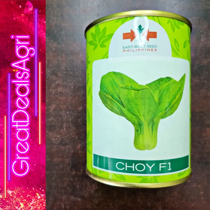 CHOY F1 HYBRID PETCHAY SEEDS (100 GRAMS) EAST WEST SEEDS | Lazada PH