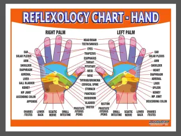 Reflexology Charts Hand Reflexology, Reflexology Hand
