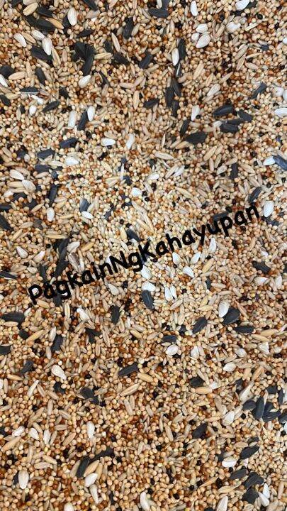 African Mix Bird seeds | Lazada PH