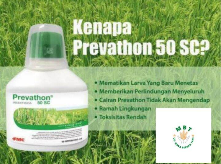 insektisida prevathon 50 sc. hama tanaman lewatt.. | Lazada Indonesia