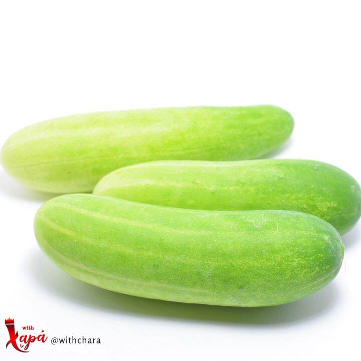binhi pantanim seeds for planting pipino cucumber fruit | Lazada PH