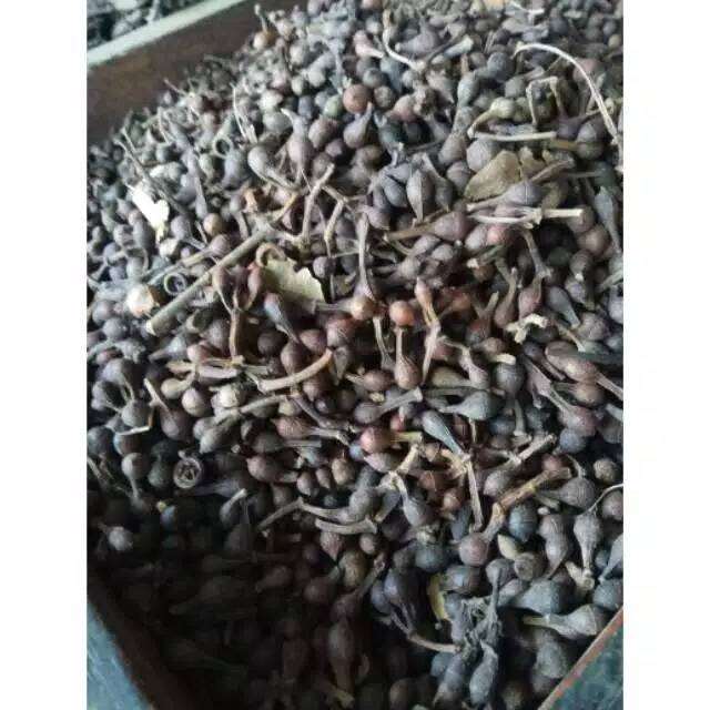 Jamu Ceplik / ceplik sari / Ceplikan 1 kg | Lazada Indonesia