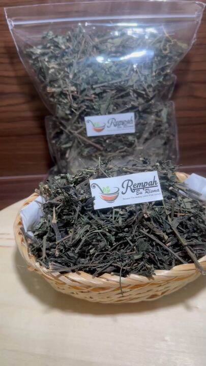 Daun Sambiroto Kering - Daun Sambiloto Kering | Lazada Indonesia Daun Sambiroto Kering - Daun Sambiloto Kering | Lazada Indonesia