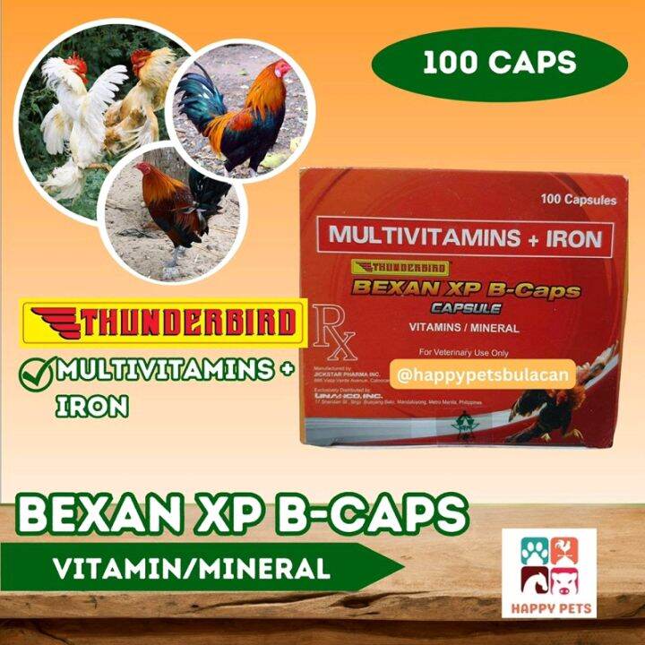 Bexan XP B-Caps Vitamin Mineral 100 Capsules | Lazada PH