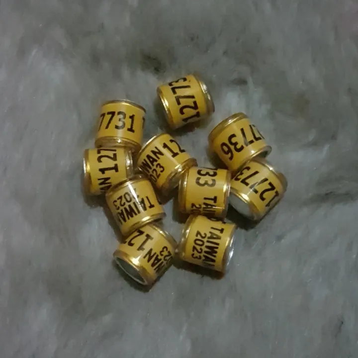 Pigeon Foot Ring 2023 10 peices 8mm on hand Taiwan | Lazada PH