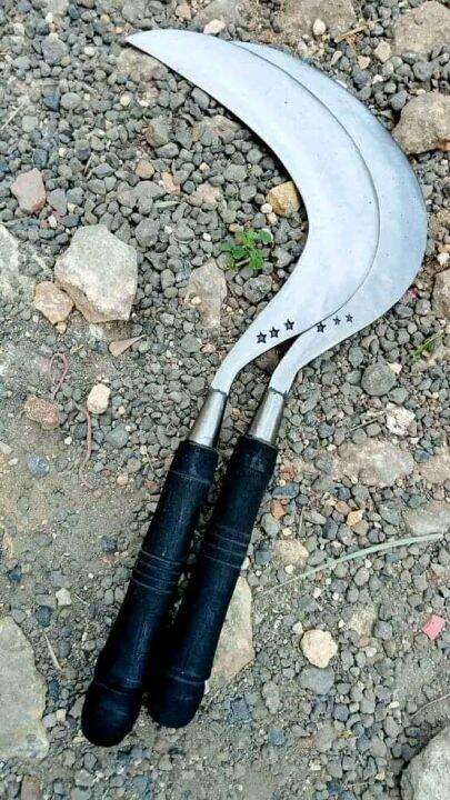 arit sabit rumput Madura asli baja pirr | Lazada Indonesia