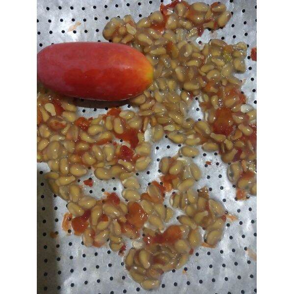 12 biji / benih coccinia timun padang timun tikus | Lazada Indonesia