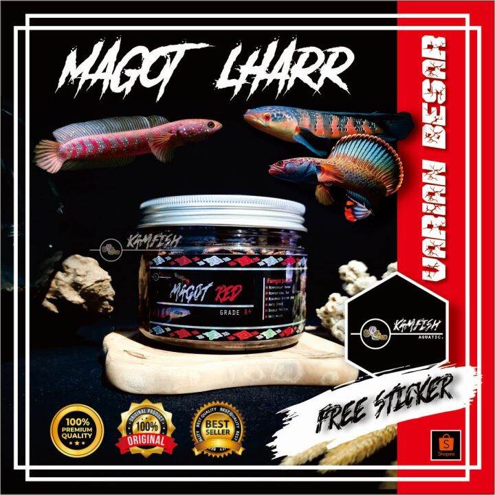 MAGOT KERING PAKAN AROWANA SUPER RED / MAGOT BSF VARIAN RED | Lazada ...