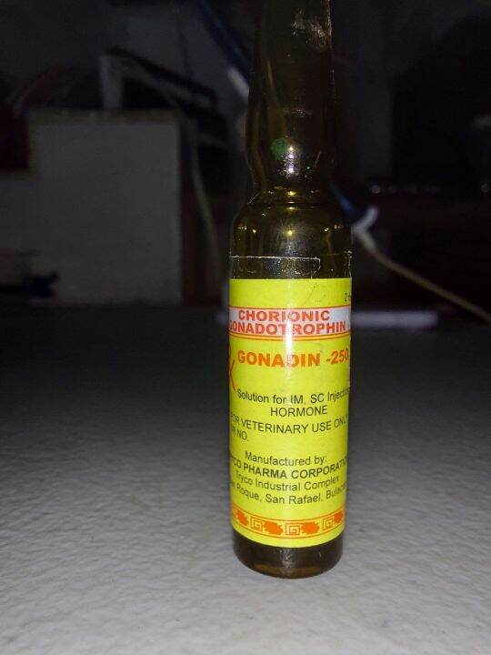 GONADIN 250 2ml ampule | Lazada PH