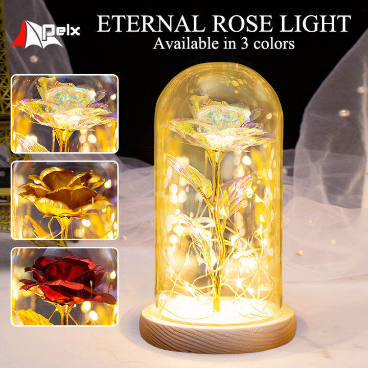 rose flower Eternal rose with led light Rose dome Glass Dome Valentine ...