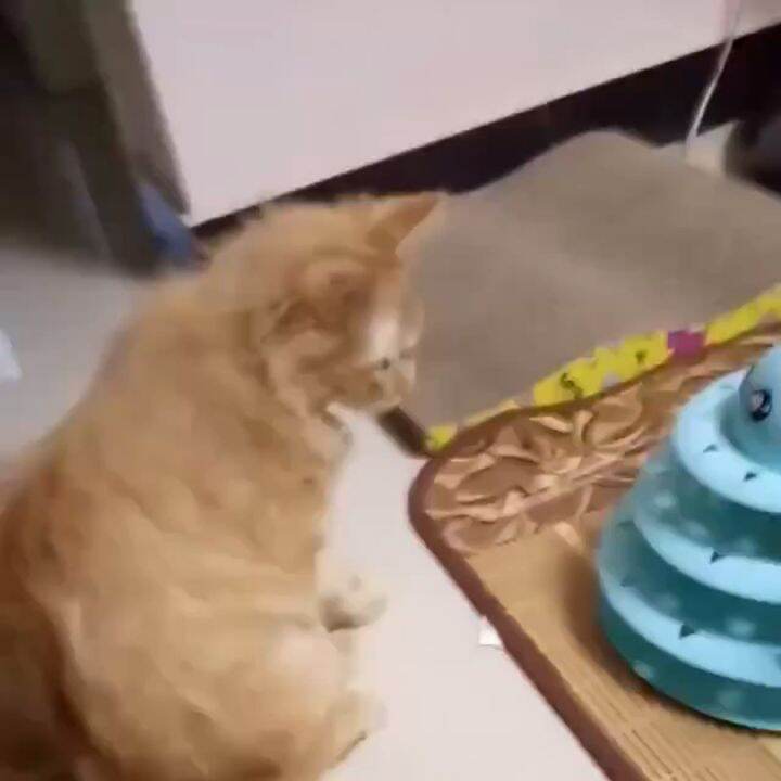 Spinning Balls Cat Toy Cat Tower Toy Ball Mainan Bola Kucing Bertingkat ...