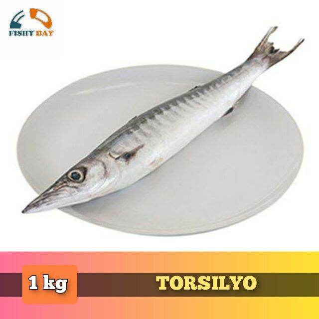 FRESH FISH SEAFOOD TORSILYO 1 KILOGRAM | Lazada PH