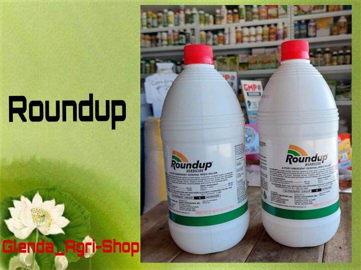 Roundup ( HERBICIDE (GLYPHOSATE ) 1L | Lazada PH