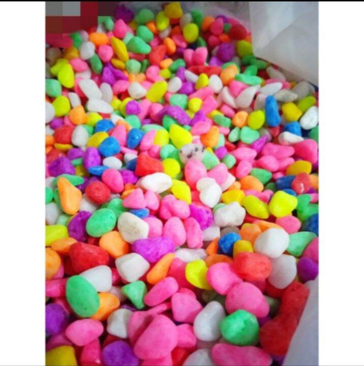 Aquarium Colorful Pebbles 250 grams for Aquascaping | Lazada PH