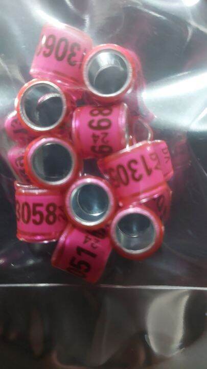 PIGEON RING DV 2024 10 PCS REPACKED | Lazada PH