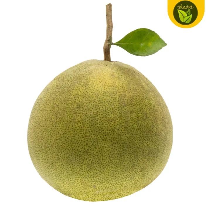 binhi suha pomelo 5 Seeds for planting fruit ree | Lazada PH