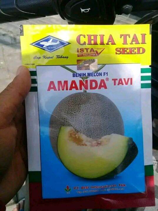 Benih bibit Melon Amanda Tavi F1 13 gram kemasan original | Lazada ...