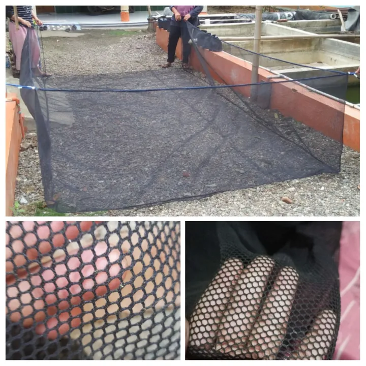 Keramba ikan Jaring keramba ikan jaring sarang tawon | Lazada Indonesia