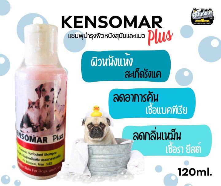 แชมพูบำรุงผิวหนังสุนัขและแมว เคนโซมาร์ พลัส (Kensomar Plus) 120 ml. | Lazada.co.th