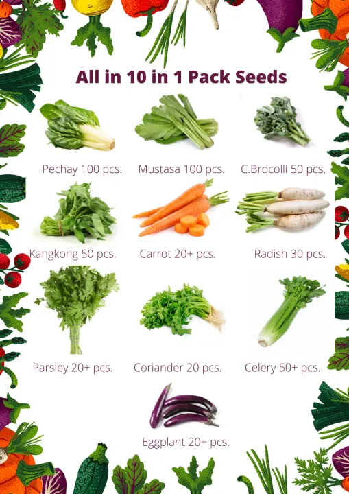 all in! 10 in 1 pack seeds binhi pantanim pechay mustasa C.Brocolli ...