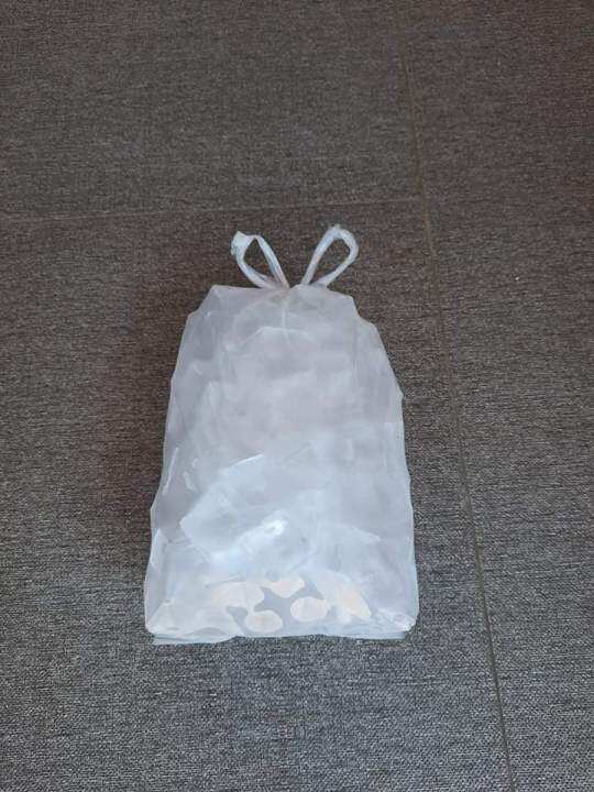 Ice Bags for 2kg Transparent Sando 2kg | Lazada PH