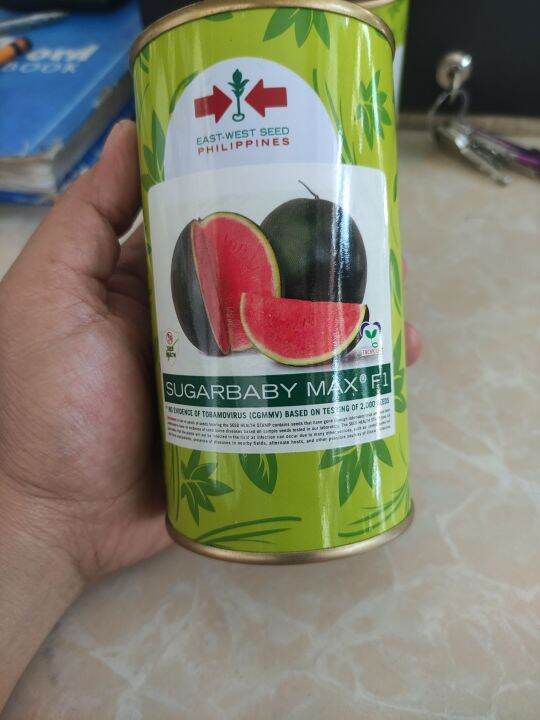 Sugar baby Max F1 100g | Lazada PH