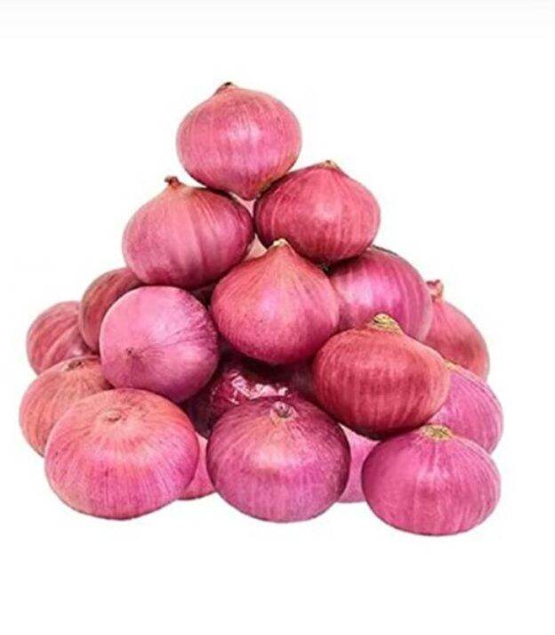 Sibuyas Bombay 1 Kg or 500g | Lazada PH