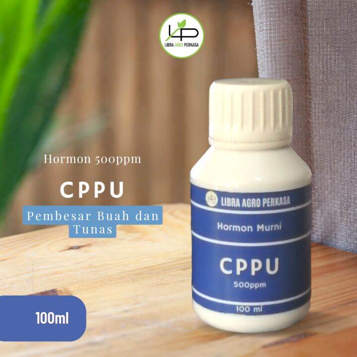 Hormon CPPU Murni 500ppm 100ml Pembesar Buah | Lazada Indonesia