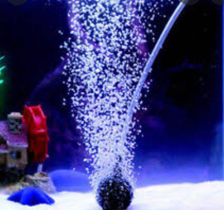 AIRSTONE ROUND AQUARIUM BUBBLER | Lazada PH