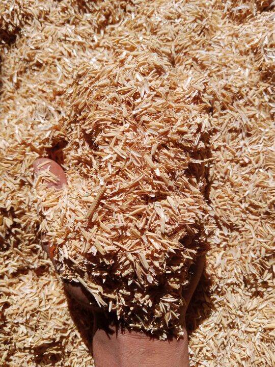 Rice hull for plant/ Ipa 1bag (2to3 per order) free fertilizer | Lazada PH