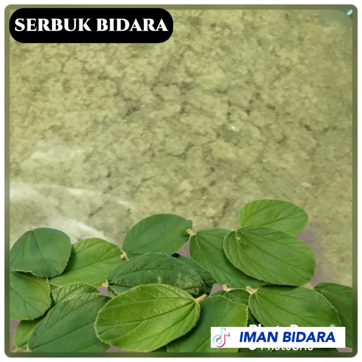SERBUK DAUN BIDARA ARAB BERDURI(100gram) | Lazada