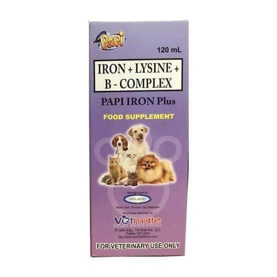 PAPI Iron Plus 120ml | Lazada PH